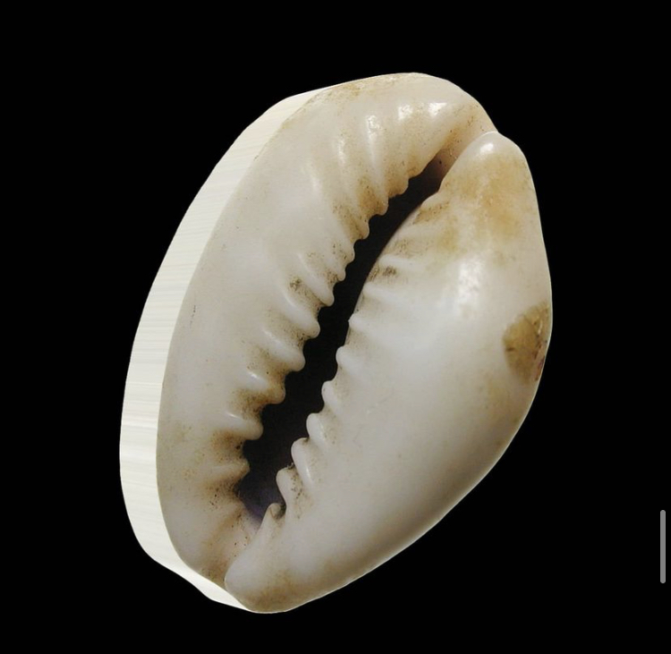 Umbilic (2021) – hubCAP Gallery